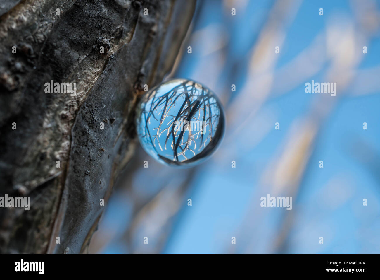 Crystal ball sky hi-res stock photography and images - Alamy