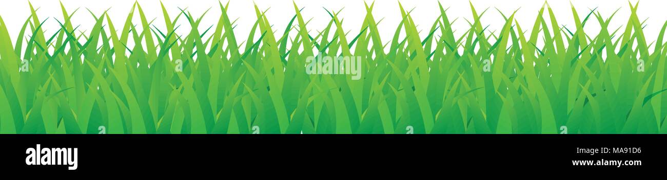 green grass vector Stock Vector Image & Art - Alamy