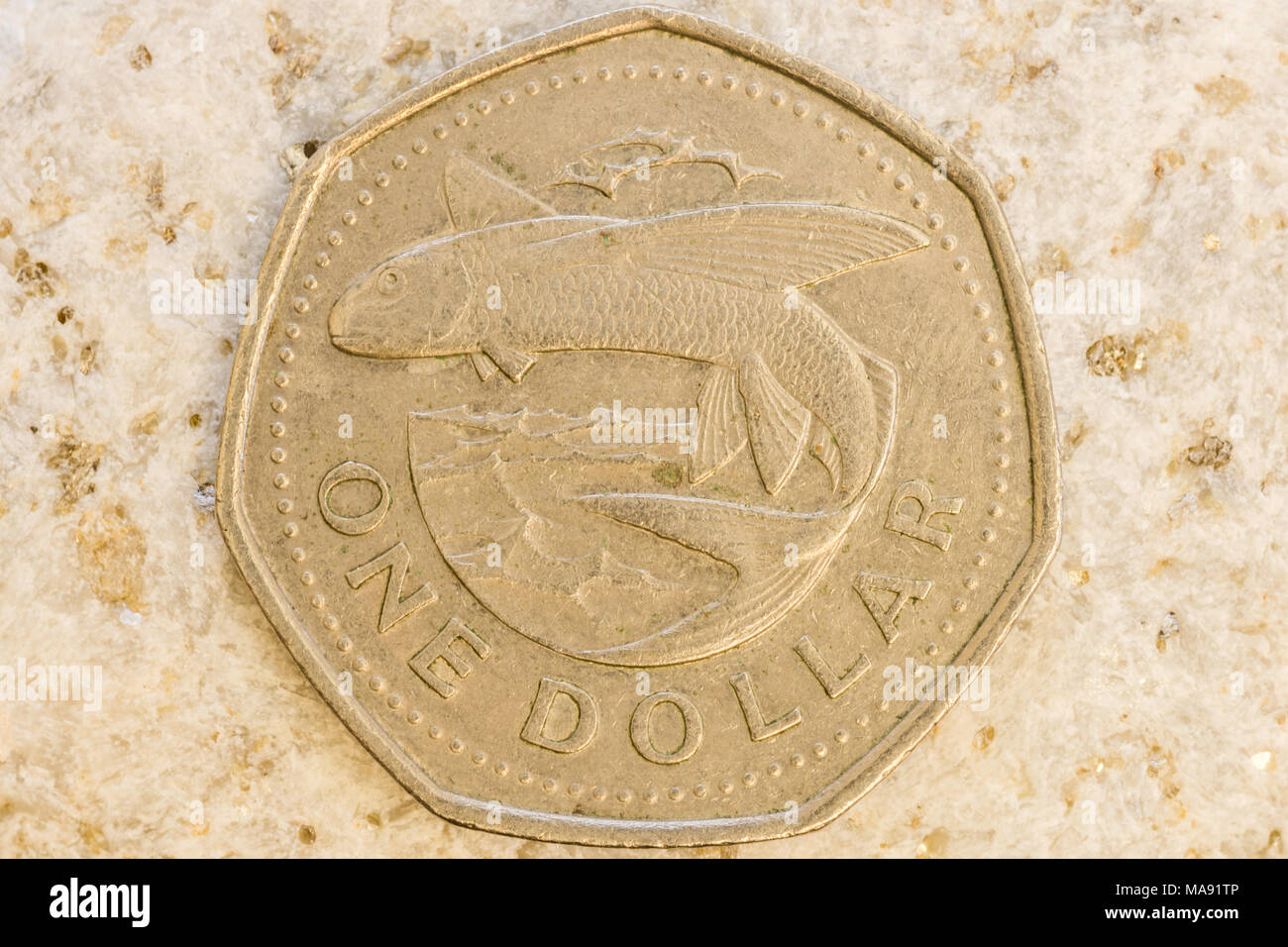 Close up view of aged vintage coin showing fine detail on coin ...
