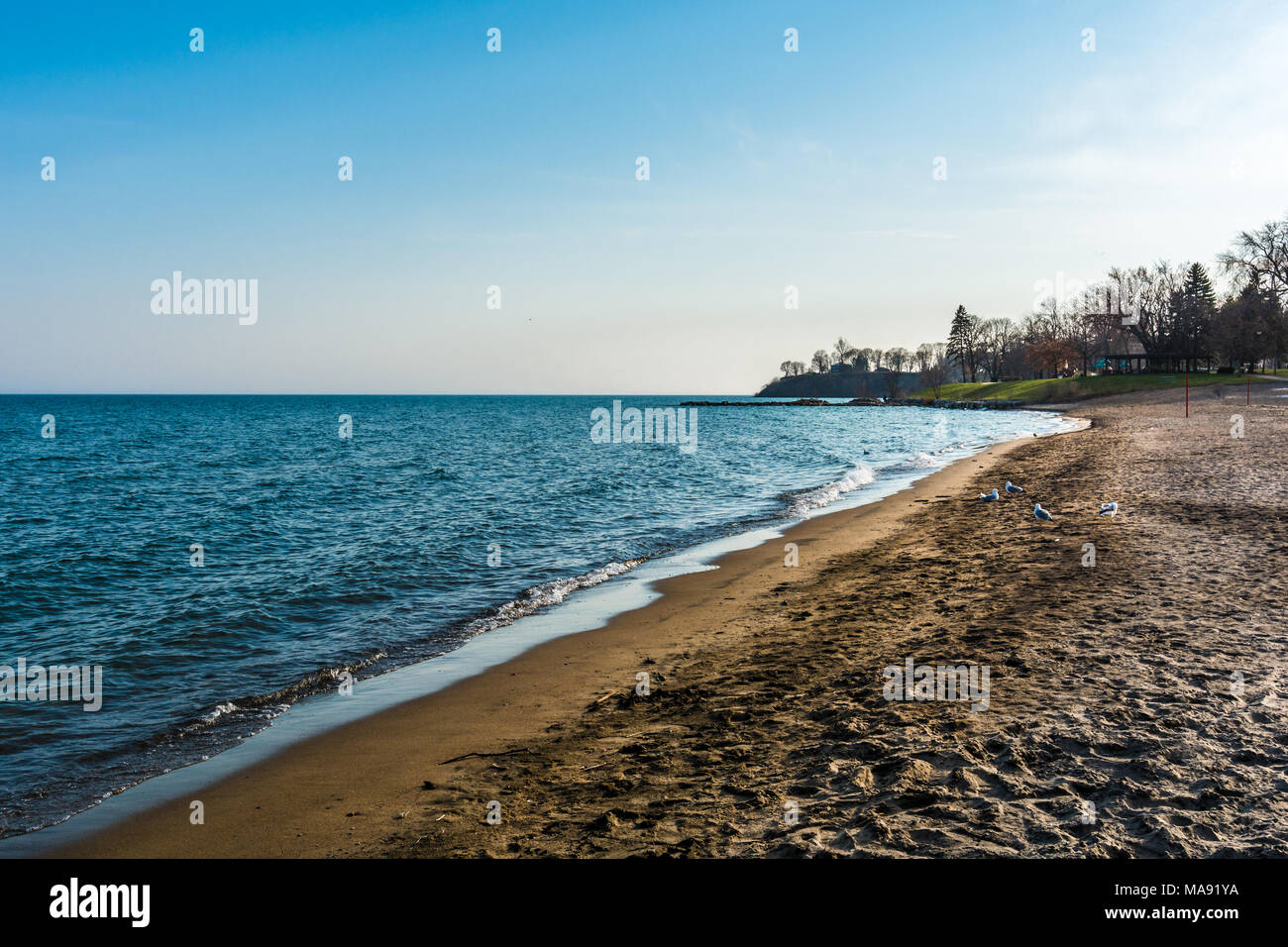 Early winter beach scene featuring sand, shoreline and lake Stock Photo ...