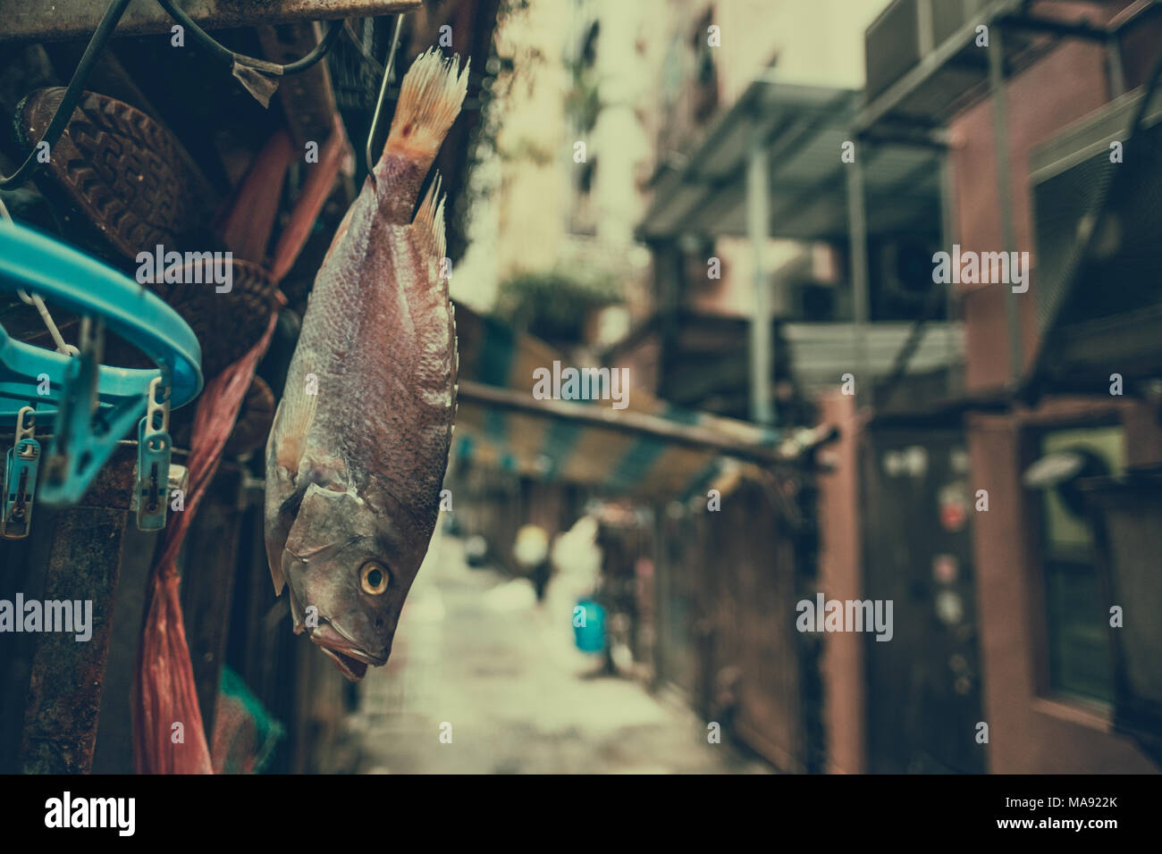 Fish alley hi-res stock photography and images - Alamy