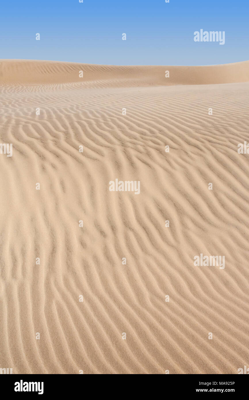 Sand dune of desert in southern Madagascar Stock Photo - Alamy