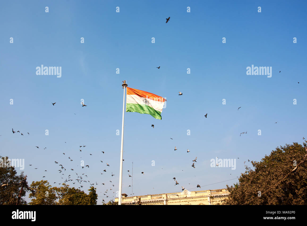 Vector creative indian flag design hi-res stock photography and images ...