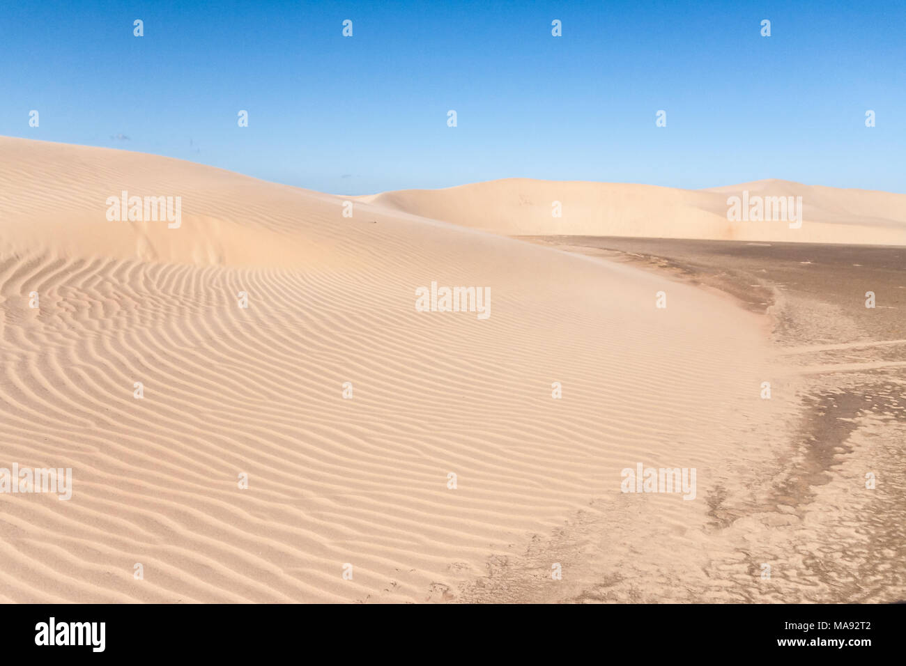 Sand dunes of desert in southern Madagascar Stock Photo - Alamy