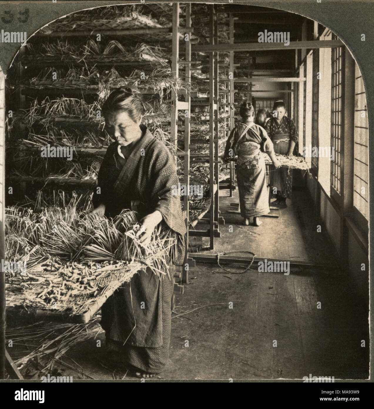 Women factory workers 1900s hi-res stock photography and images - Alamy