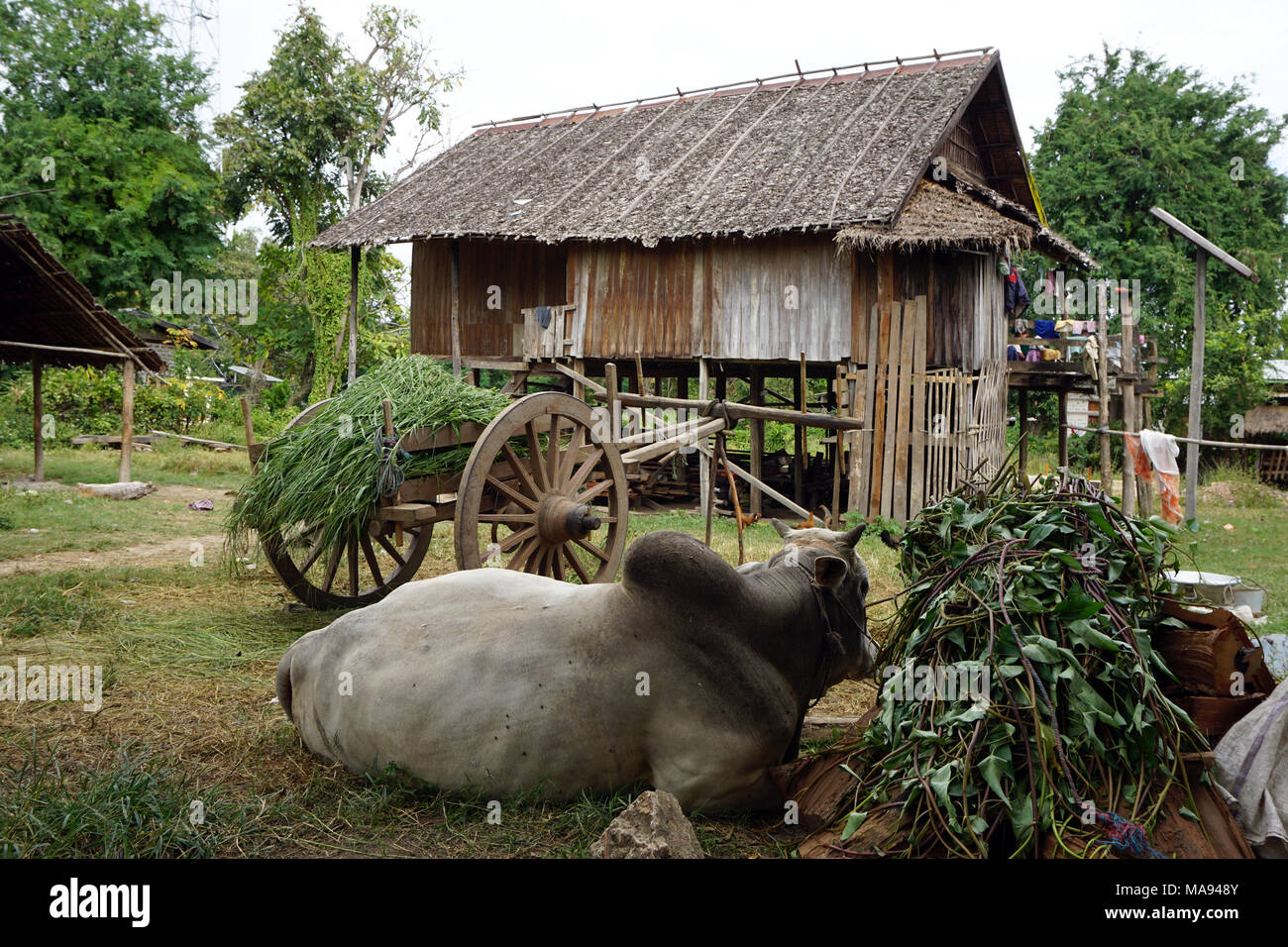 Vernacular hut hi-res stock photography and images - Alamy