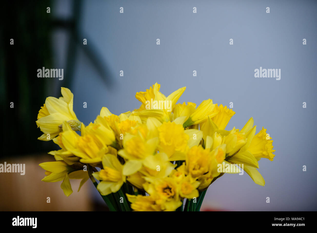 wedding decorations theme, flowers and champagne in white interior ...