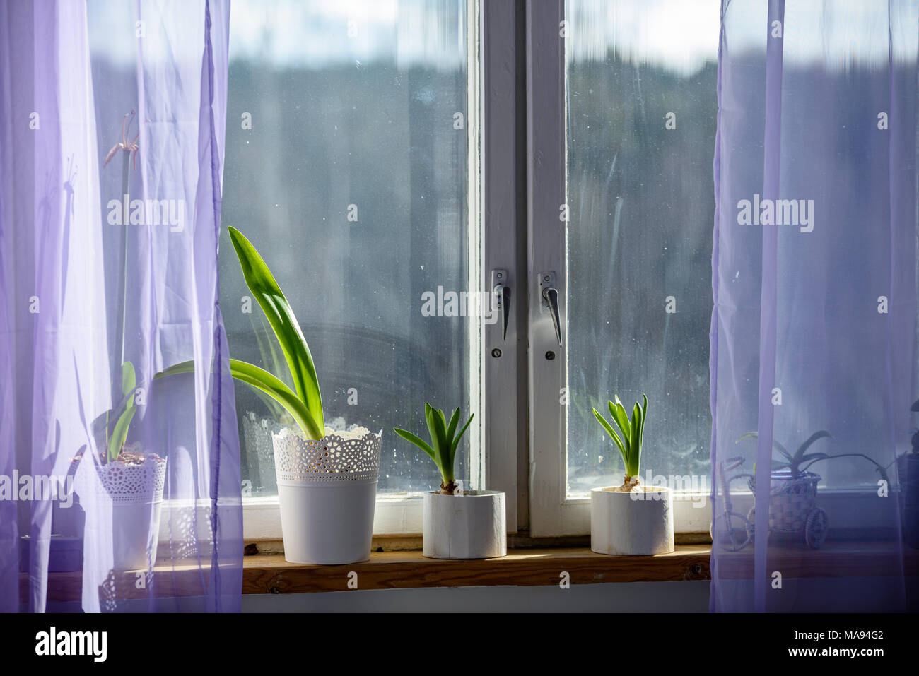 wedding decorations theme, flowers and champagne in white interior and ...