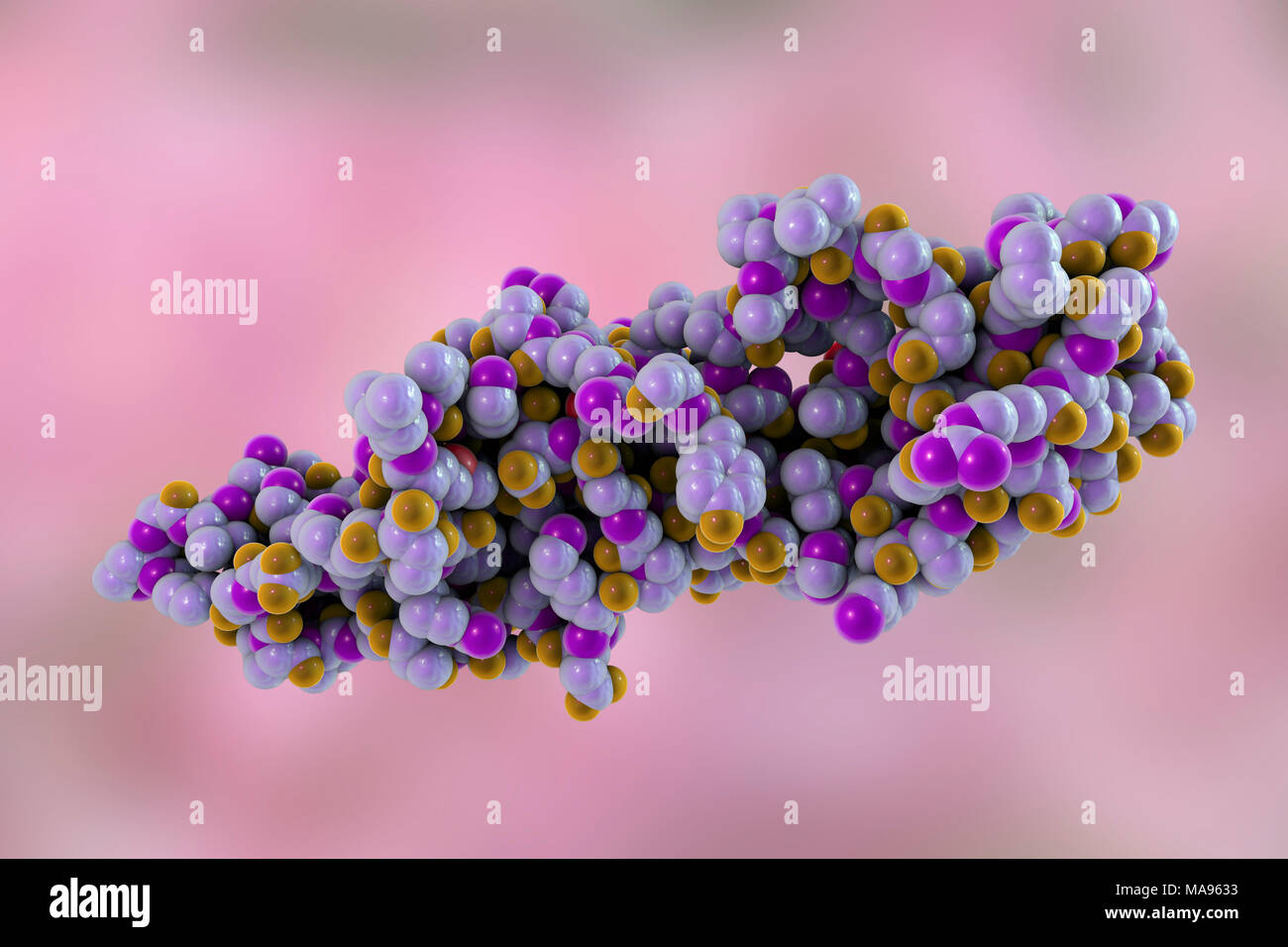 Human Chorionic Gonadotropin (hCG) glycoprotein hormone, molecular ...