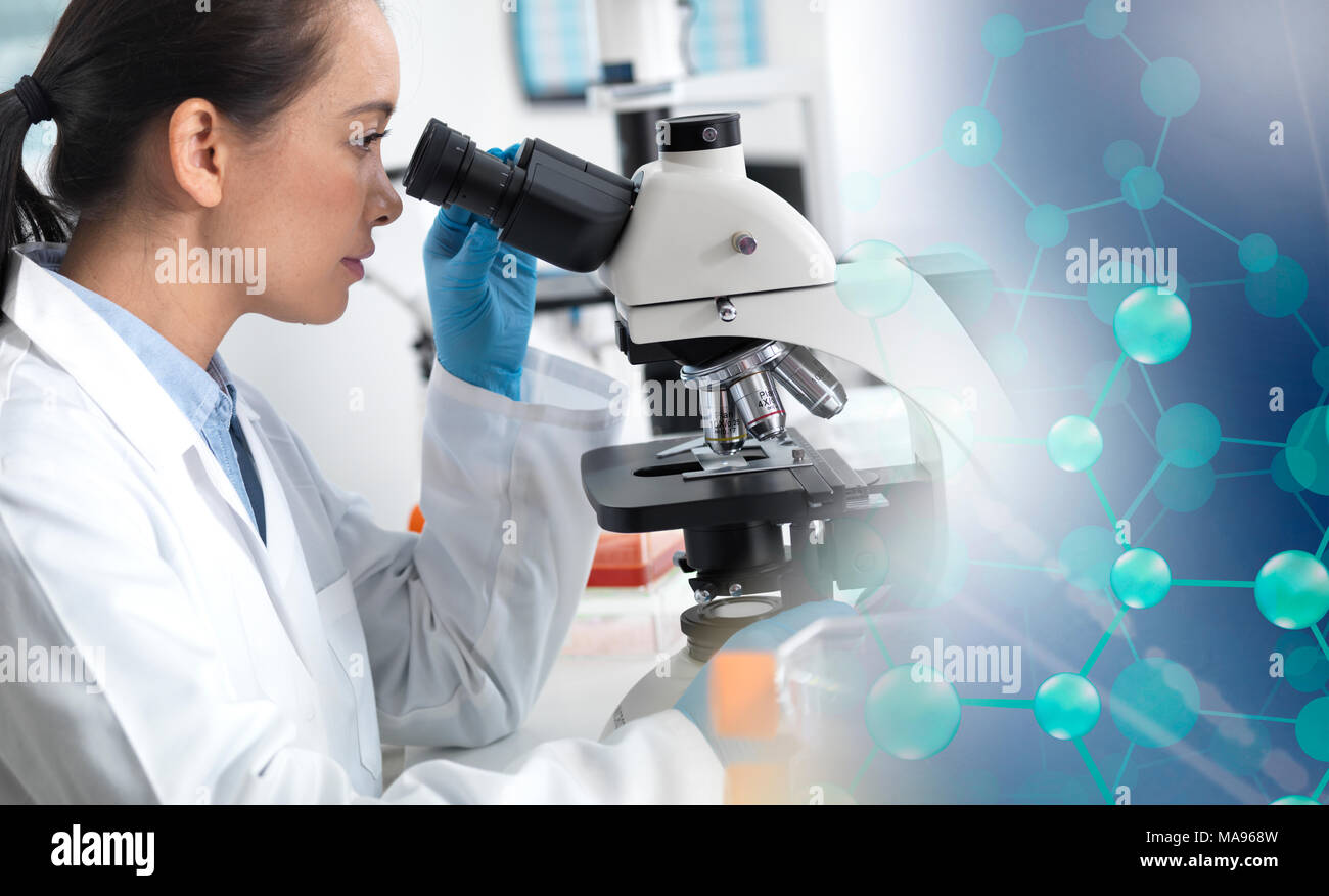 MODEL RELEASED. Scientist viewing a sample down a light microscope with ...