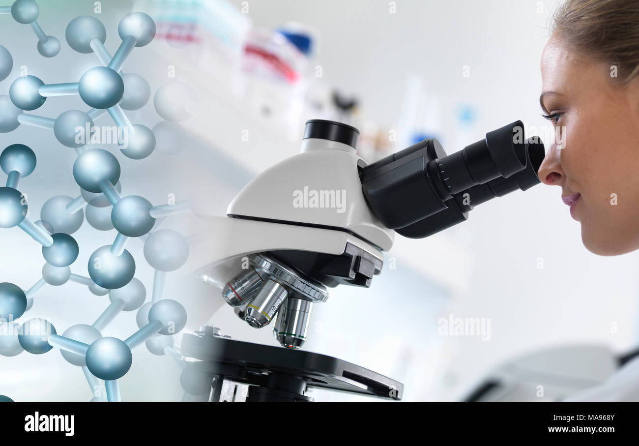 MODEL RELEASED. Scientist viewing a sample down a light microscope with ...