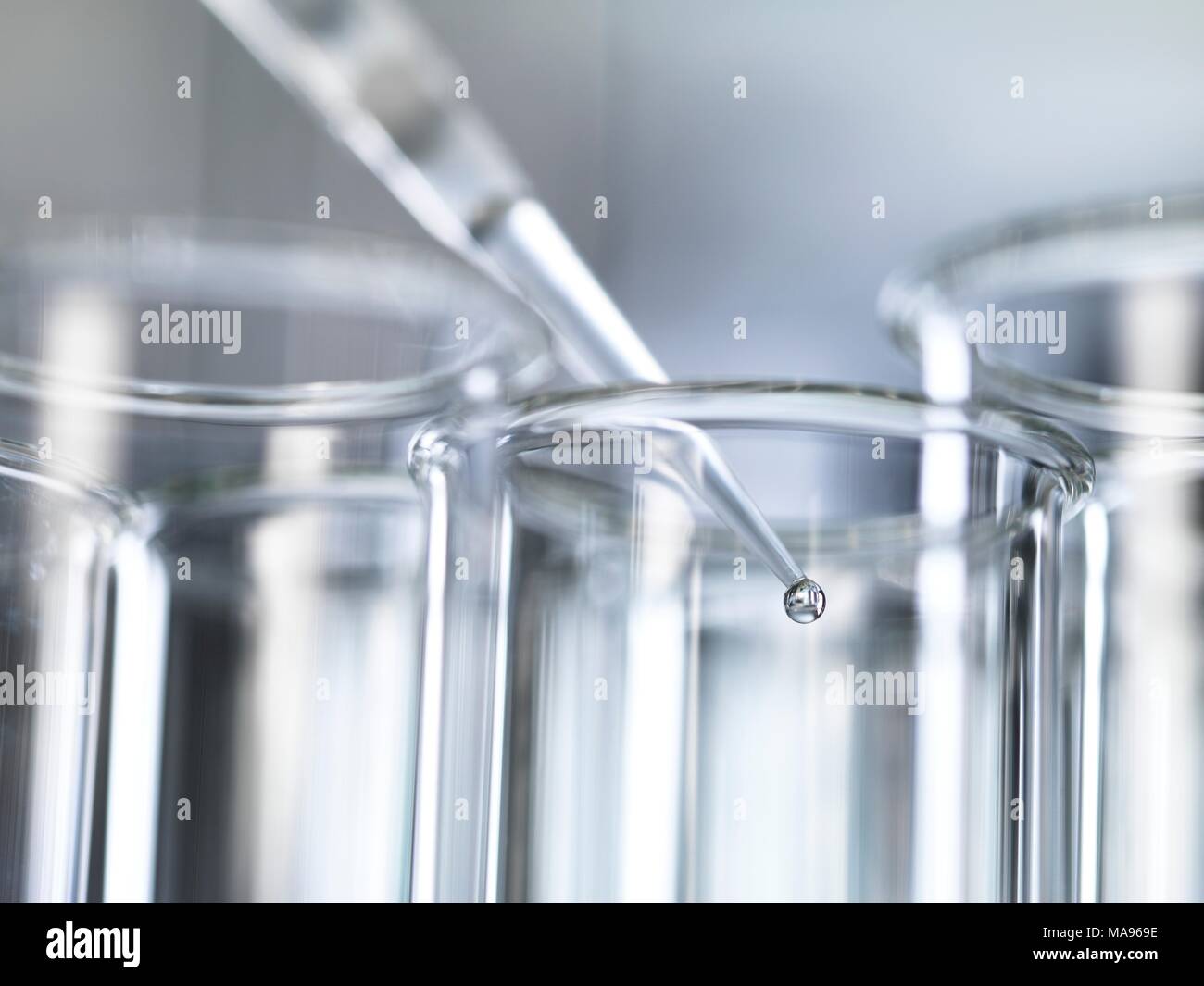 A pipette placing a sample into a test tube during a experiment in the ...
