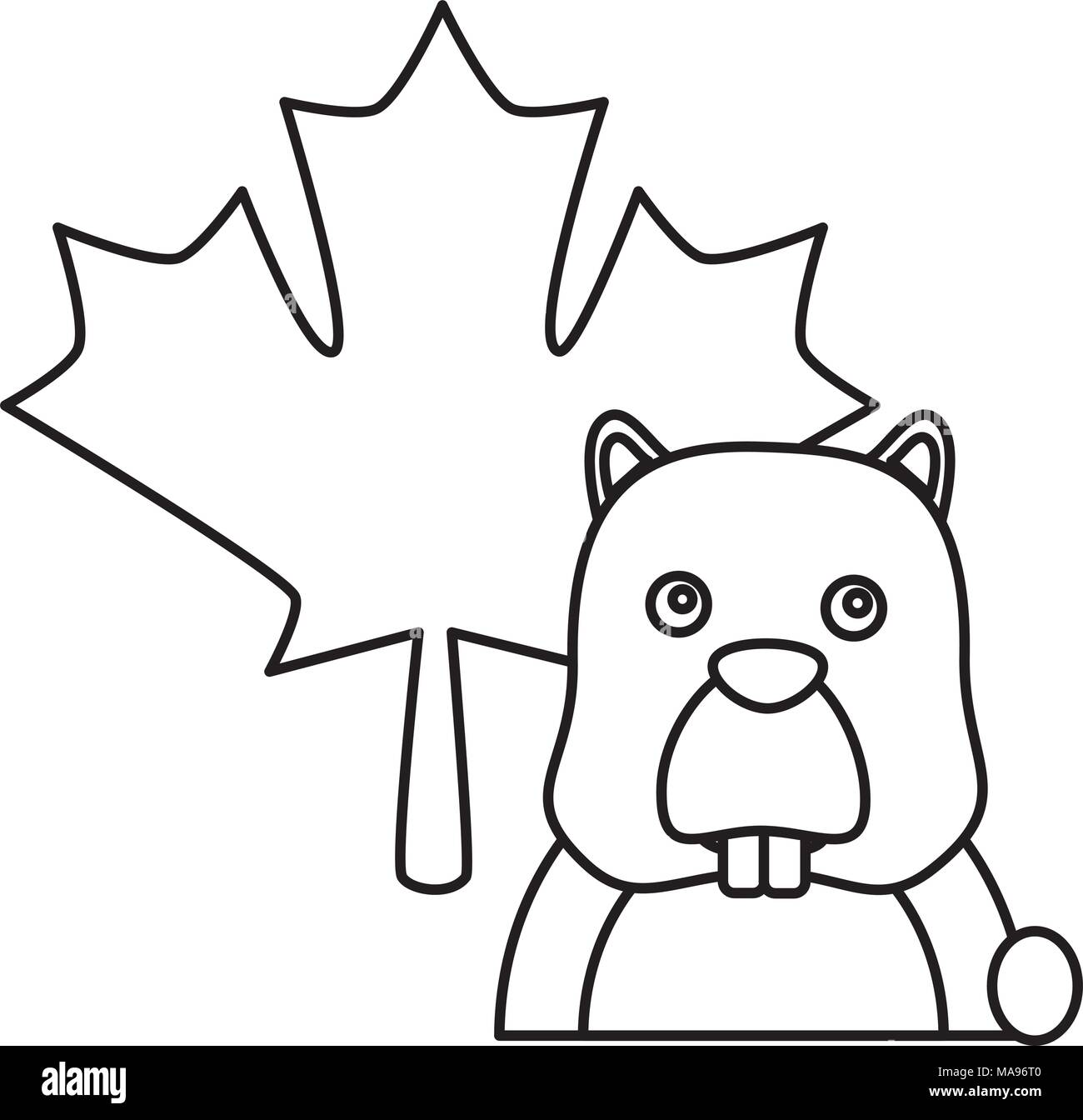 beaver rodent maple leaf canadian concept Stock Vector Image & Art - Alamy