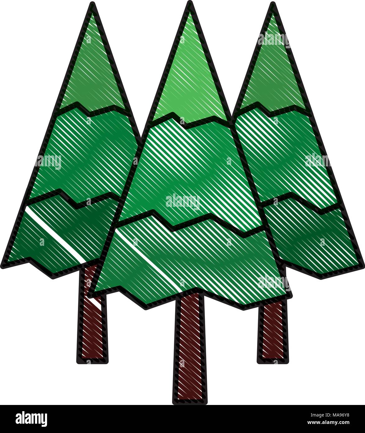 Pine trees forest botanical Stock Vector Images - Alamy