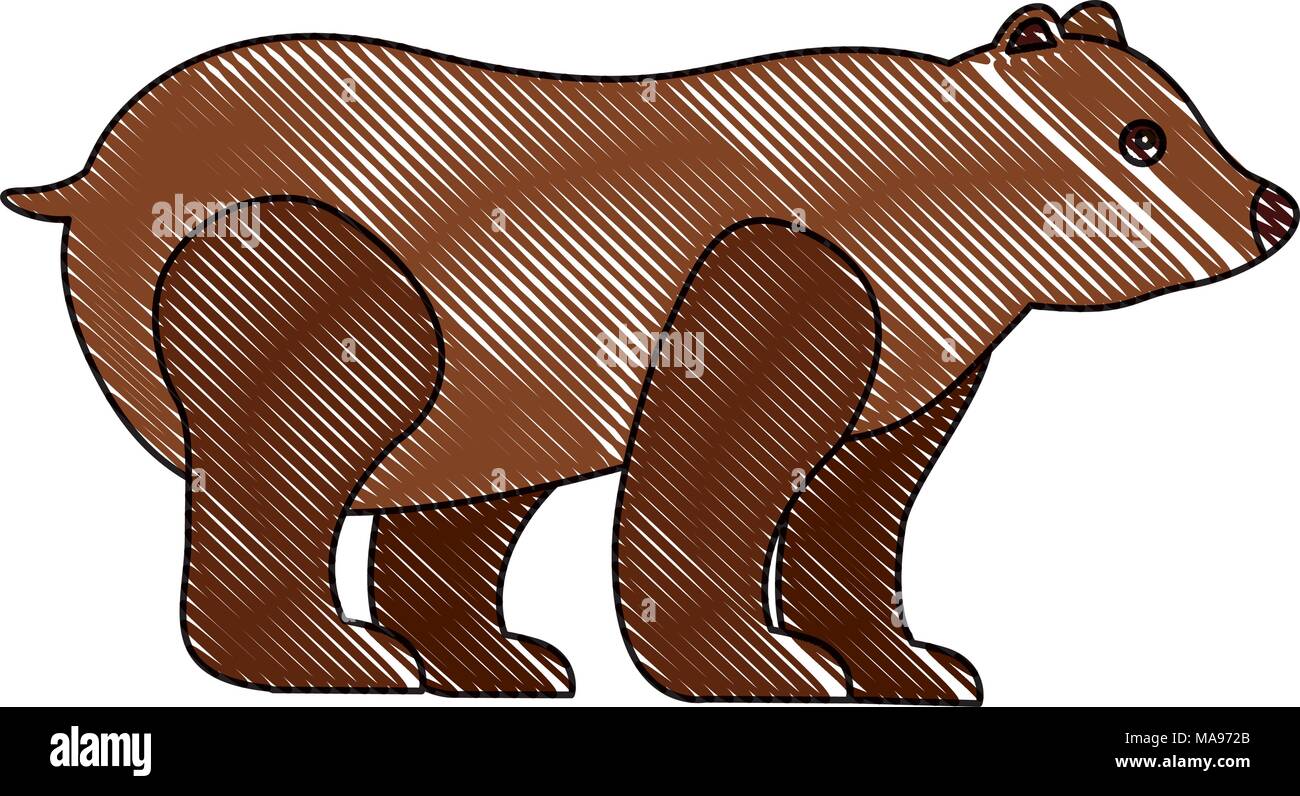 grizzly bear mammal wild side view Stock Vector Image & Art - Alamy
