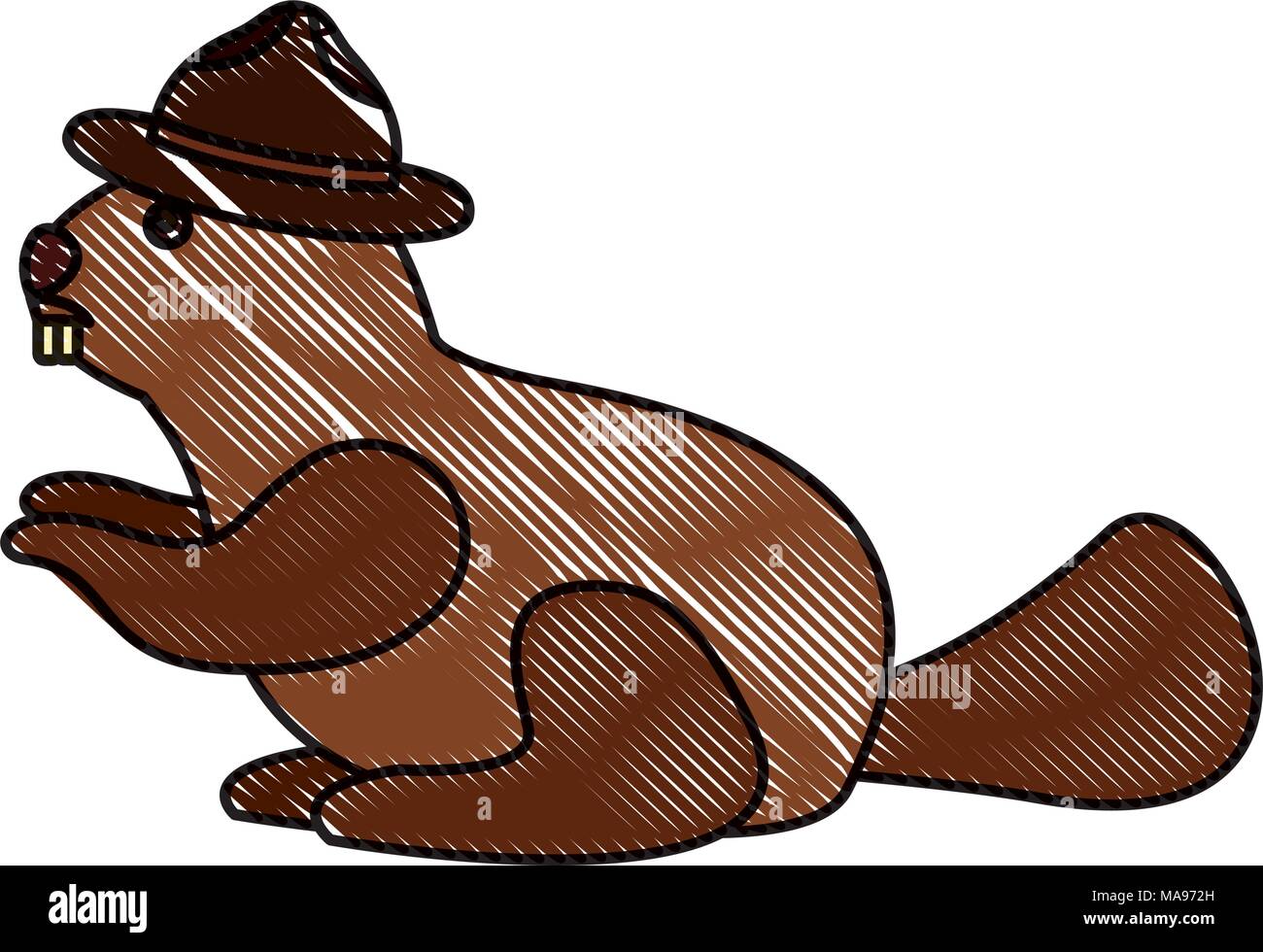 beaver with hat canadian mascot wildlife Stock Vector Image & Art - Alamy