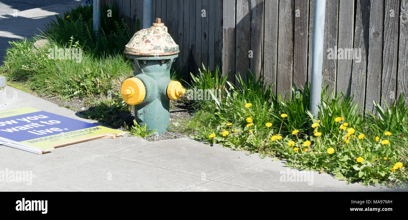 pretty fire hydrant with message board Stock Photo - Alamy