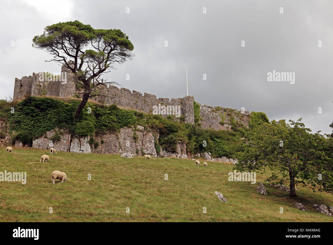 Gower peninsula castle hi-res stock photography and images - Alamy
