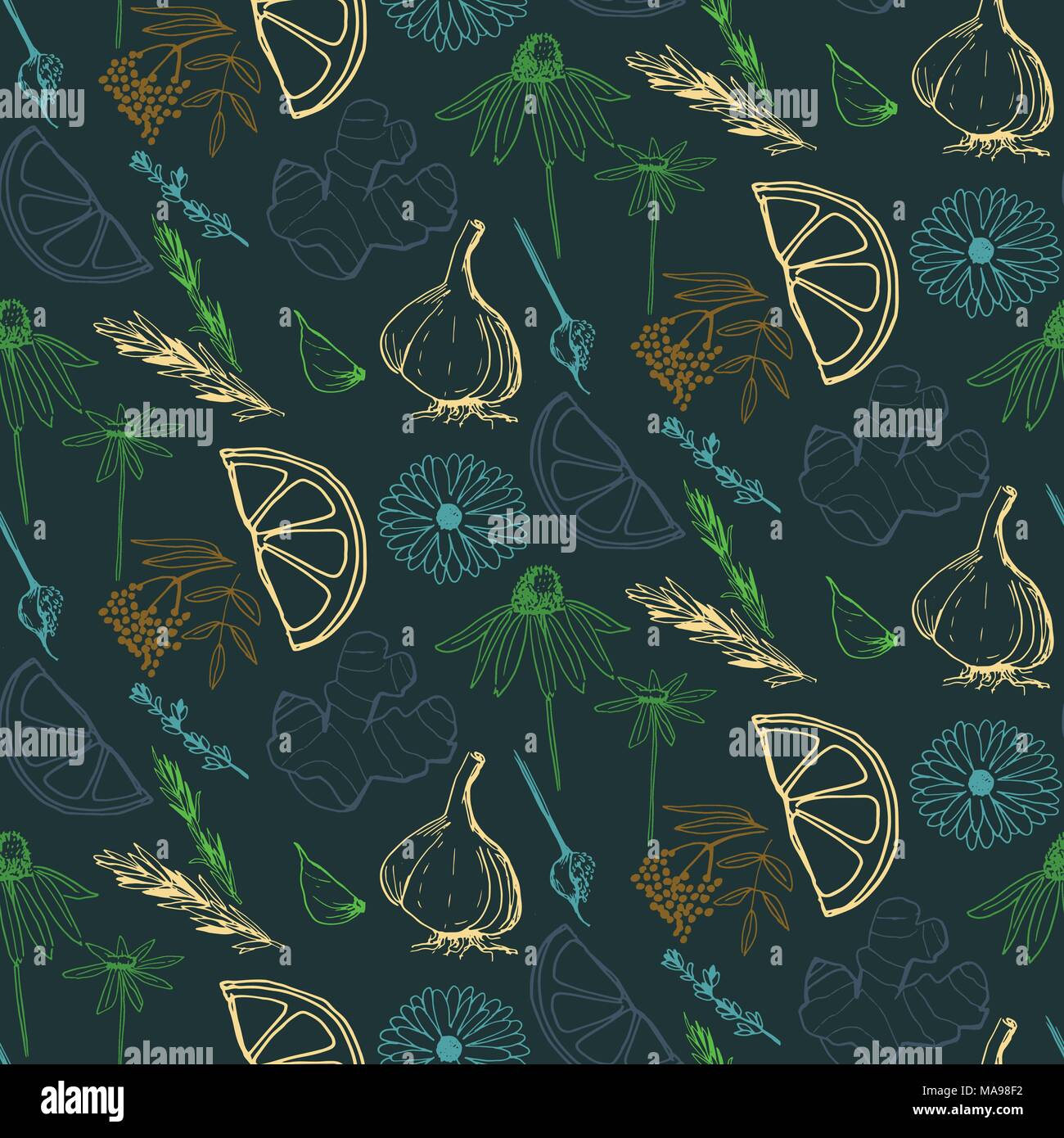 Herbs and medicinal plants seamless pattern Stock Vector Image & Art ...