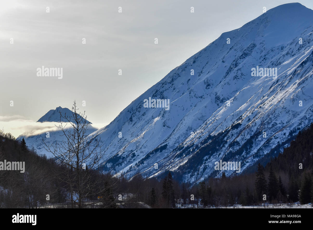 Snow Capped Peaks in the Spring in Alaska Stock Photo - Alamy