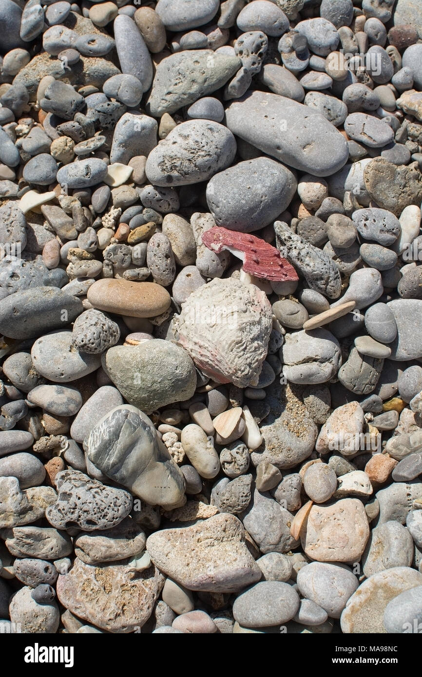 Beach rocks and coarse seashells closeup in Mallorca, Balearic islands ...