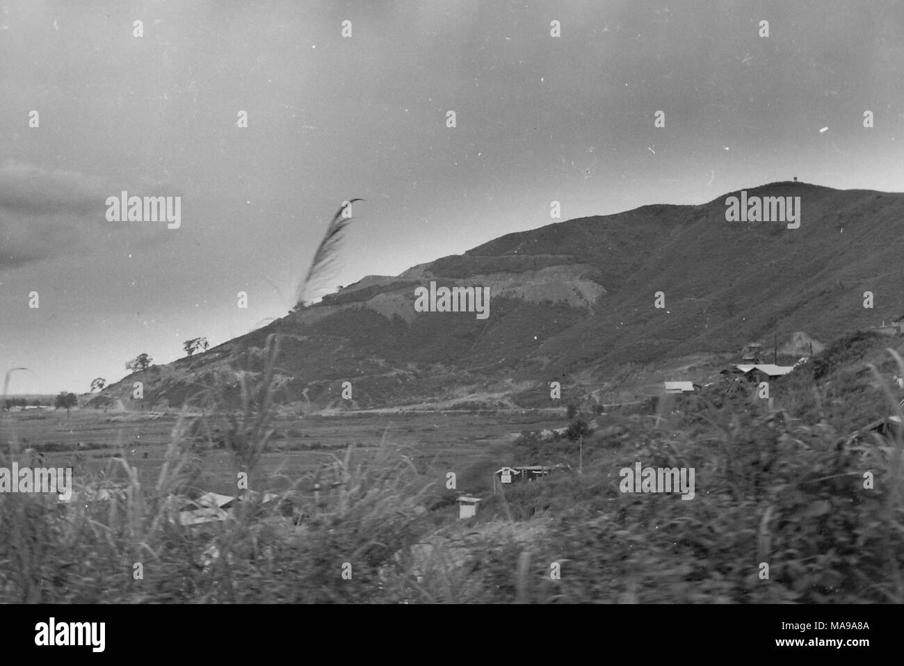 Rice paddies vietnam war hi-res stock photography and images - Alamy