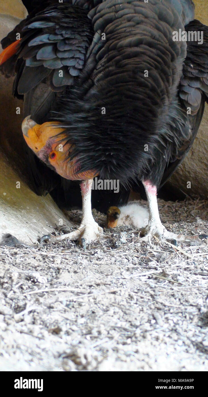 Hopper Mountain National Wildlife Refuge High Resolution Stock ...