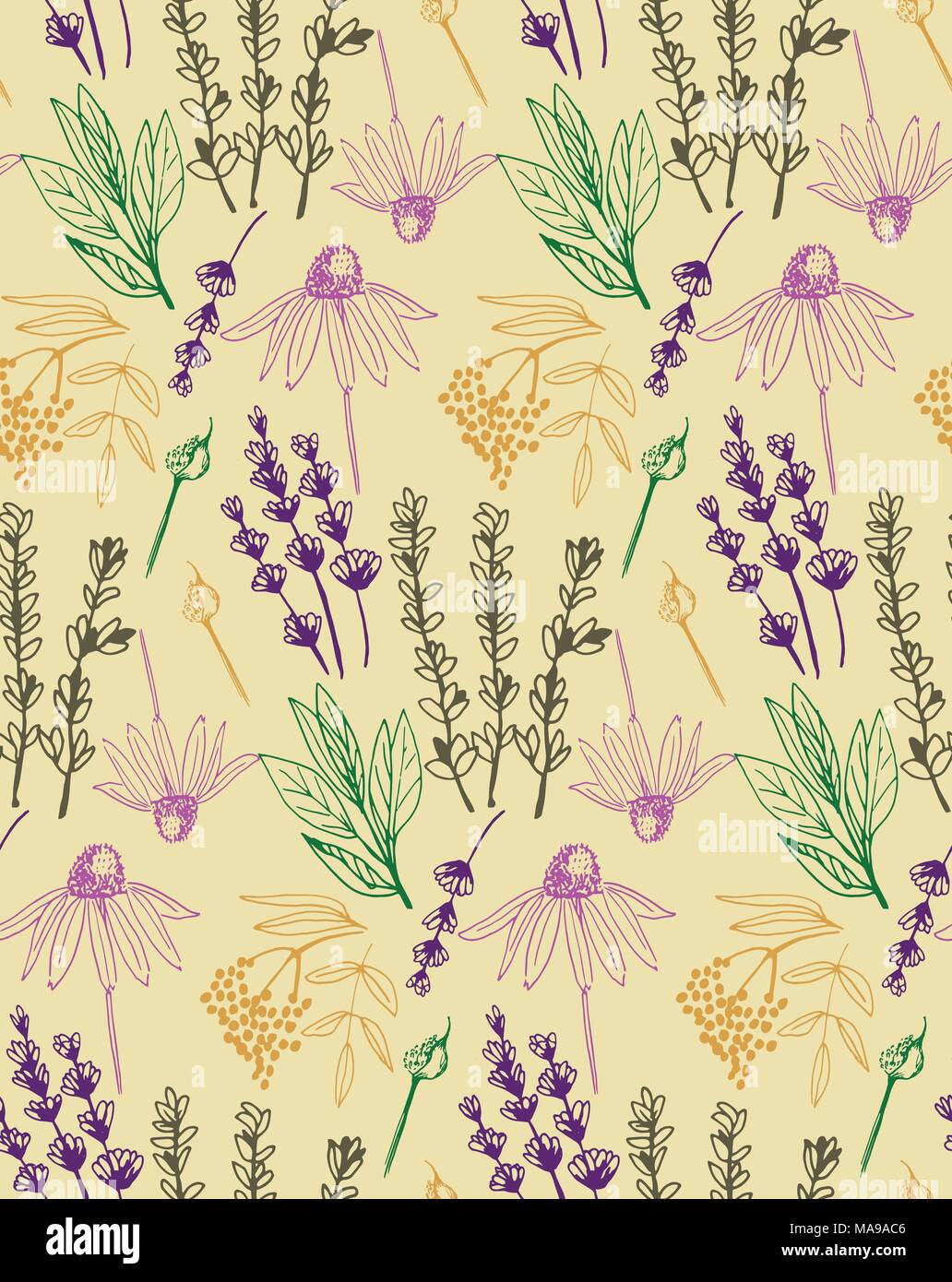 Herbs and medicinal plants collection seamless pattern Stock Vector ...