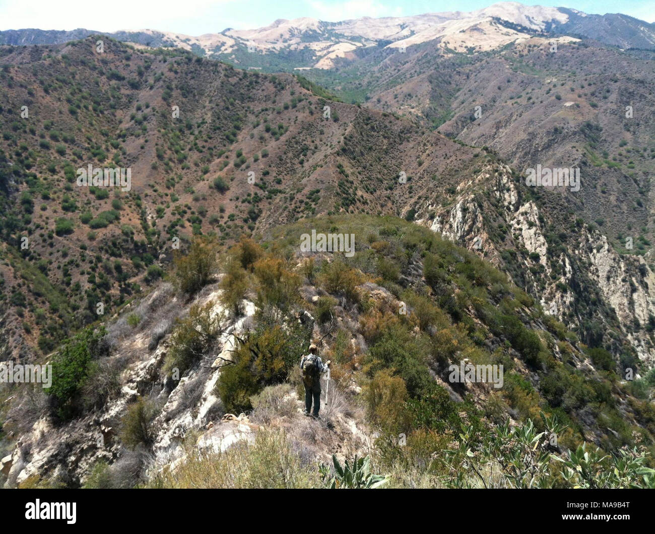 Condor Country. Biologist making their way down the nest ridge at ...