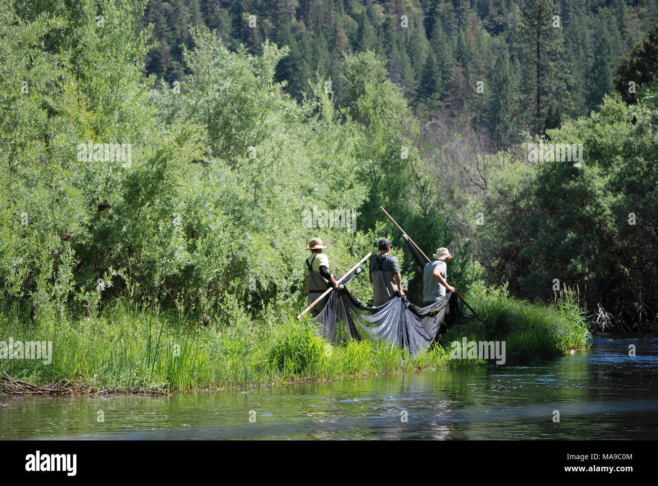 Mainstem hi-res stock photography and images - Alamy