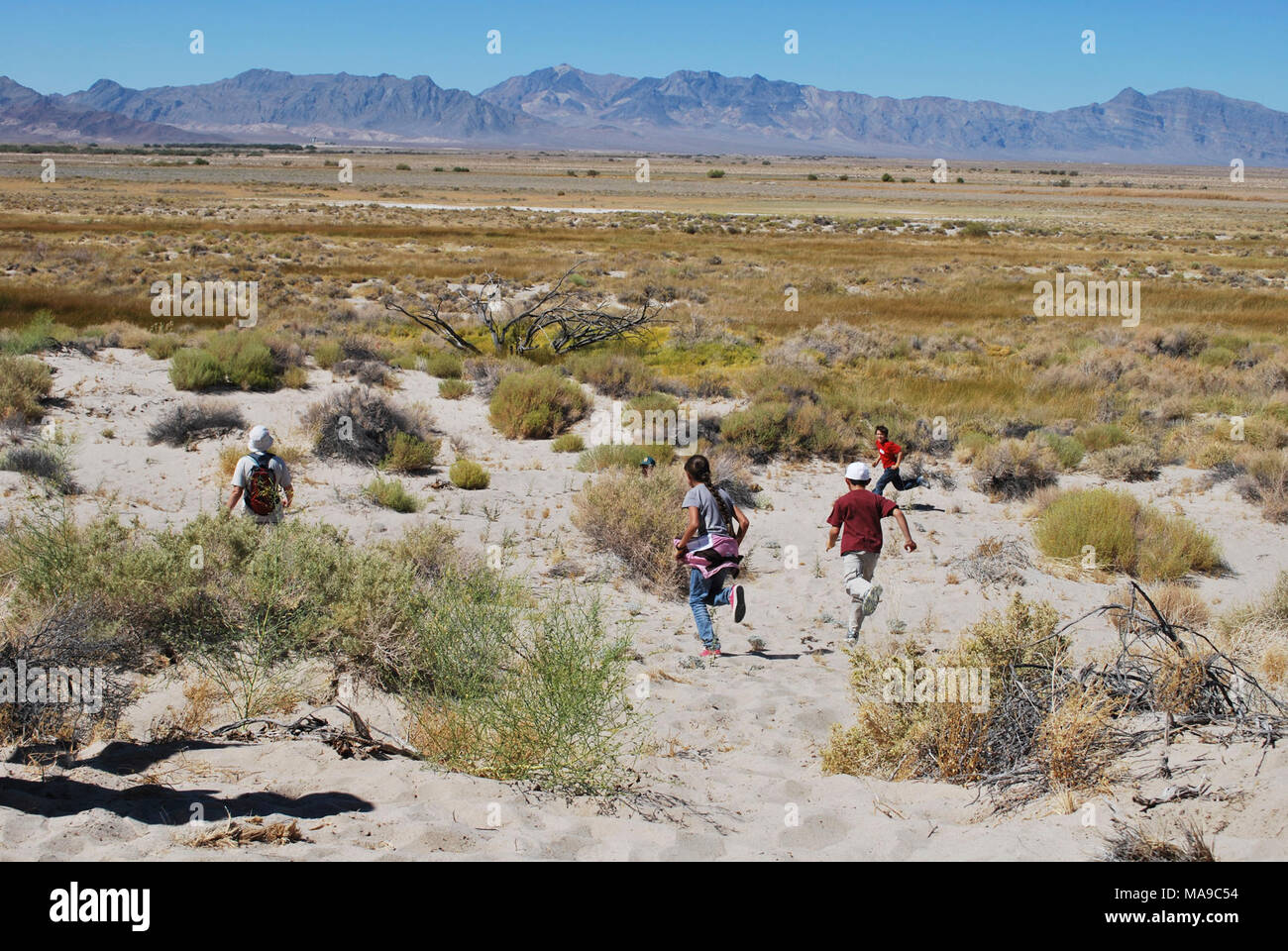 Exploring the sand dunes. Kids run across the sand dunes at Ash Meadows ...