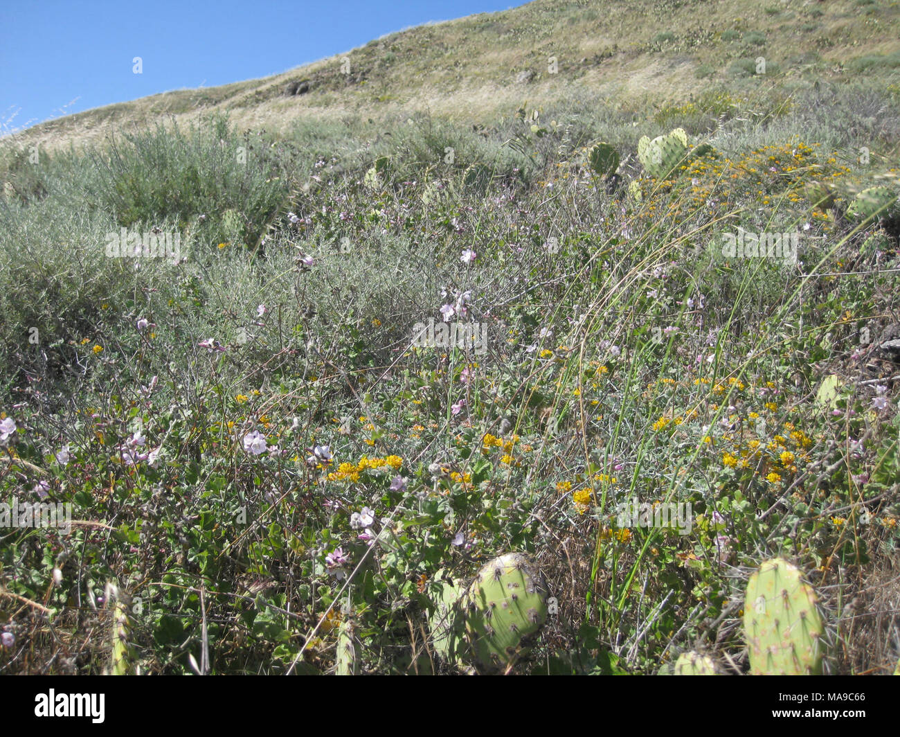 Fading to white at base hi-res stock photography and images - Alamy