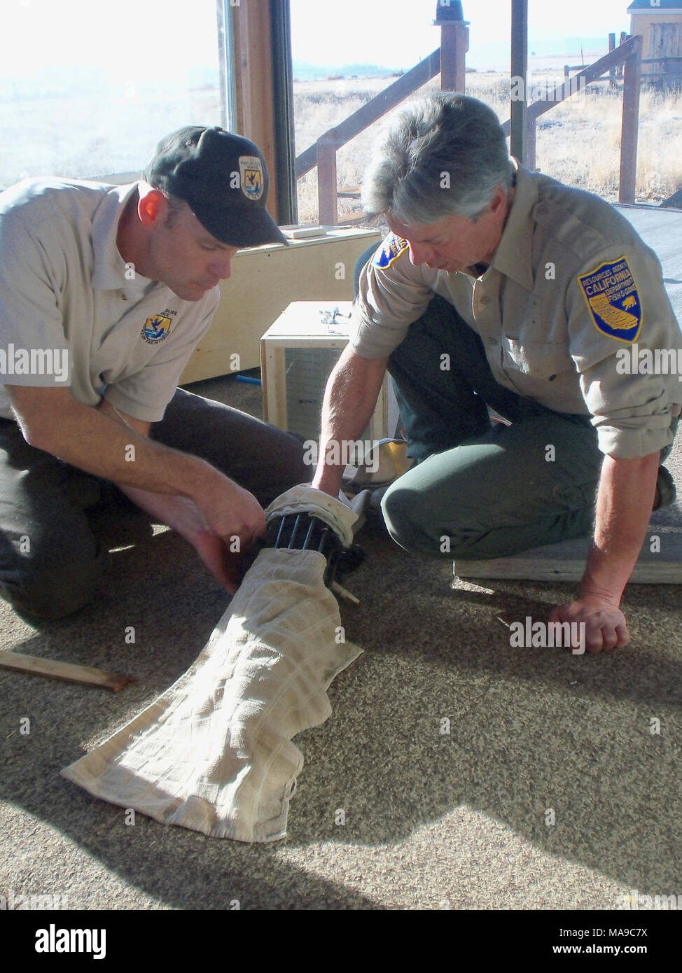 Translocation animal hi-res stock photography and images - Alamy