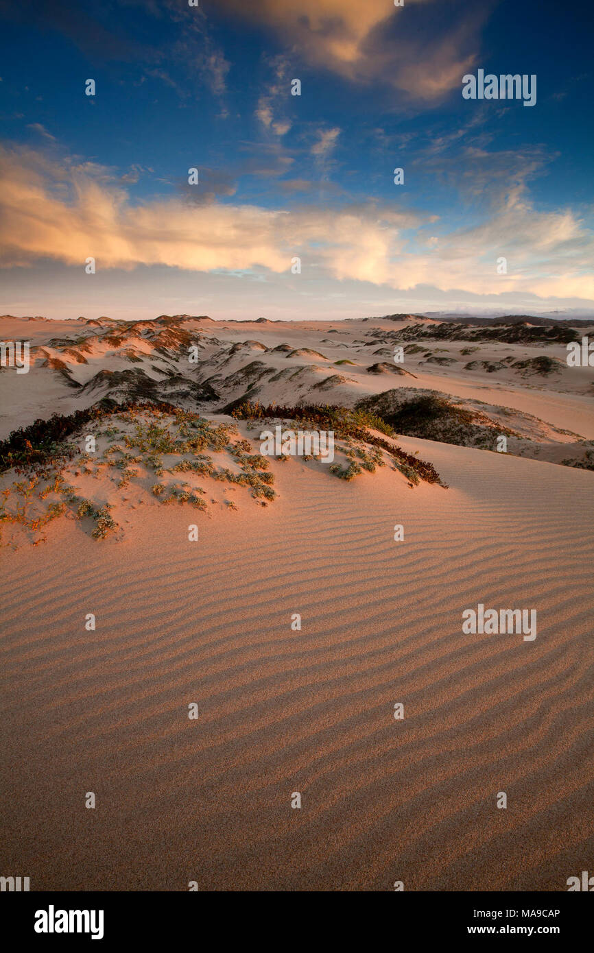 Guadalupe nipomo dunes hi-res stock photography and images - Alamy