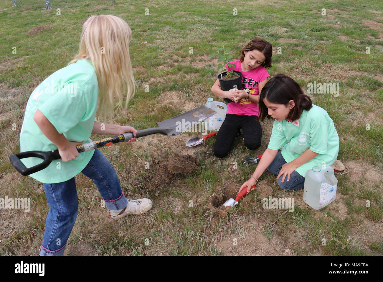 Students planting native plants hi-res stock photography and images - Alamy