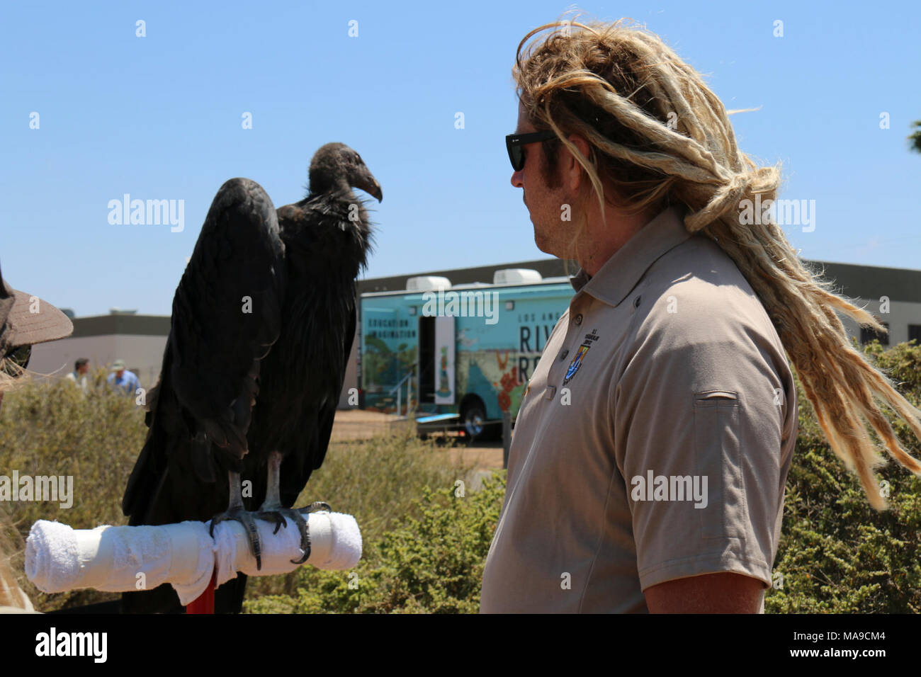 Ca condor hi-res stock photography and images - Alamy