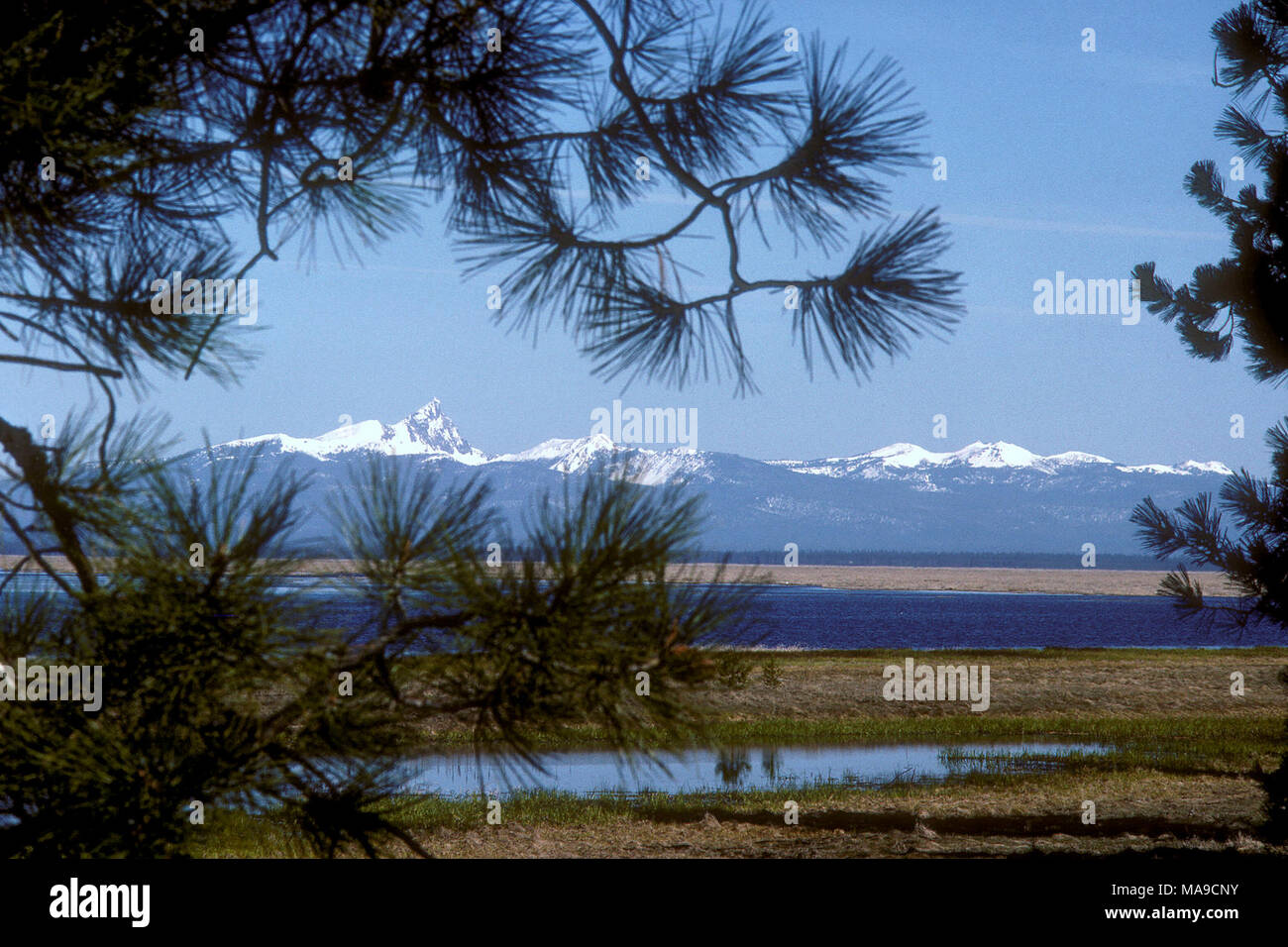Klamath Marsh & Mount Thielsen Stock Photo - Alamy