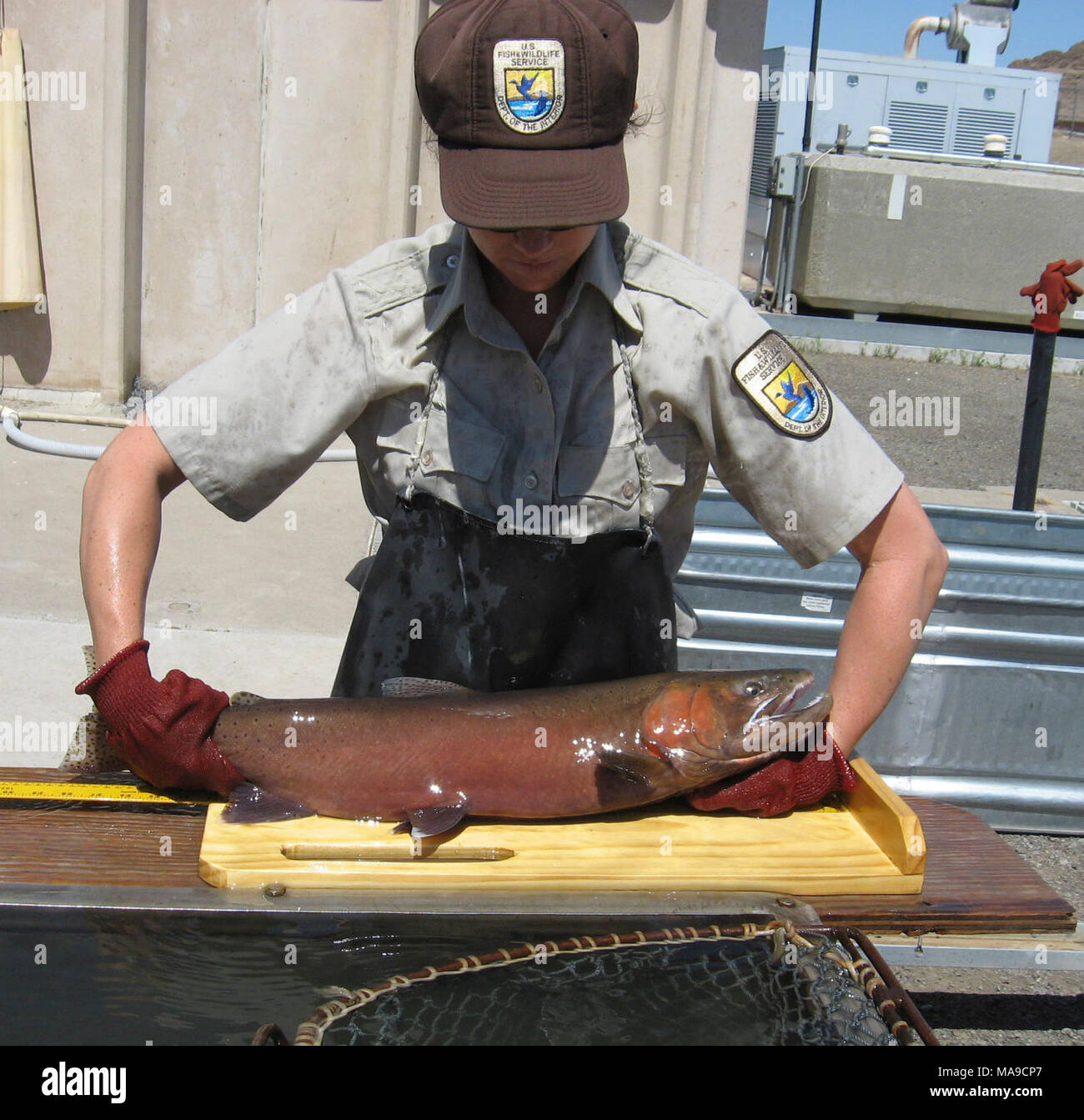 Lahontan dam hi-res stock photography and images - Alamy