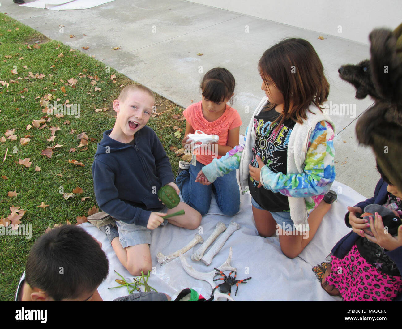 Condor elementary hi-res stock photography and images - Alamy