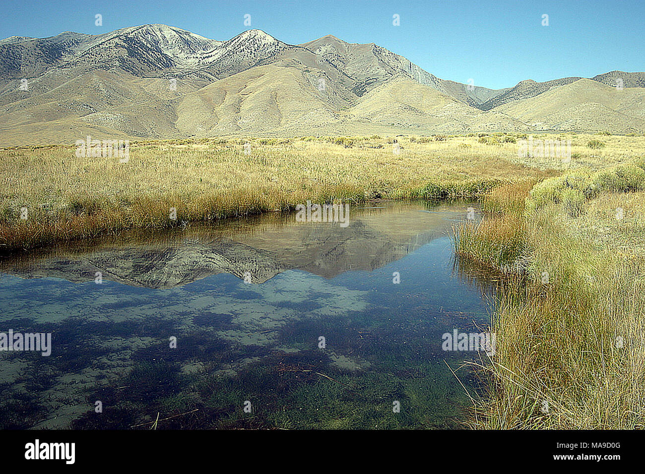Mineral Springs at Ruby Lake National Wildlife Refuge. Ruby Lake ...