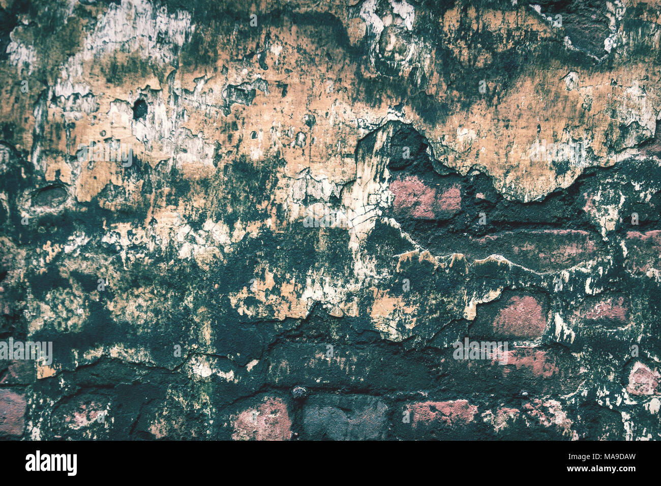 Old Brick Wall with Moss texture background. Old, decayed wall with ...