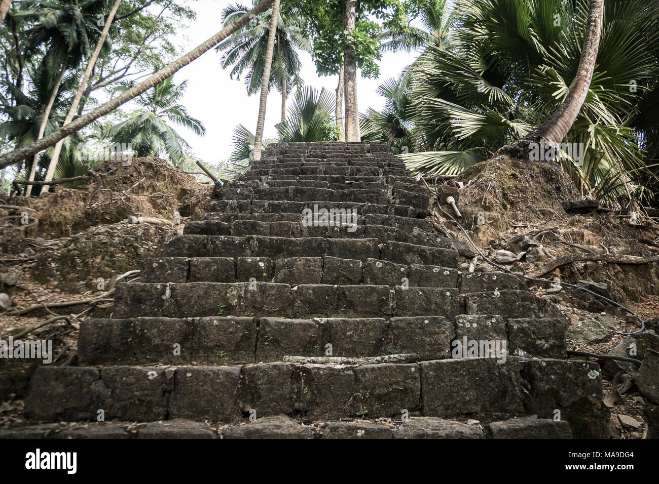 A stone staircase in the jungles of Ross island India Andaman and ...