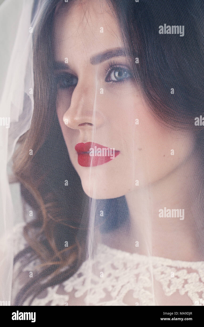 Beautiful Female Face. Bride Woman with White Wedding Veil Stock Photo ...