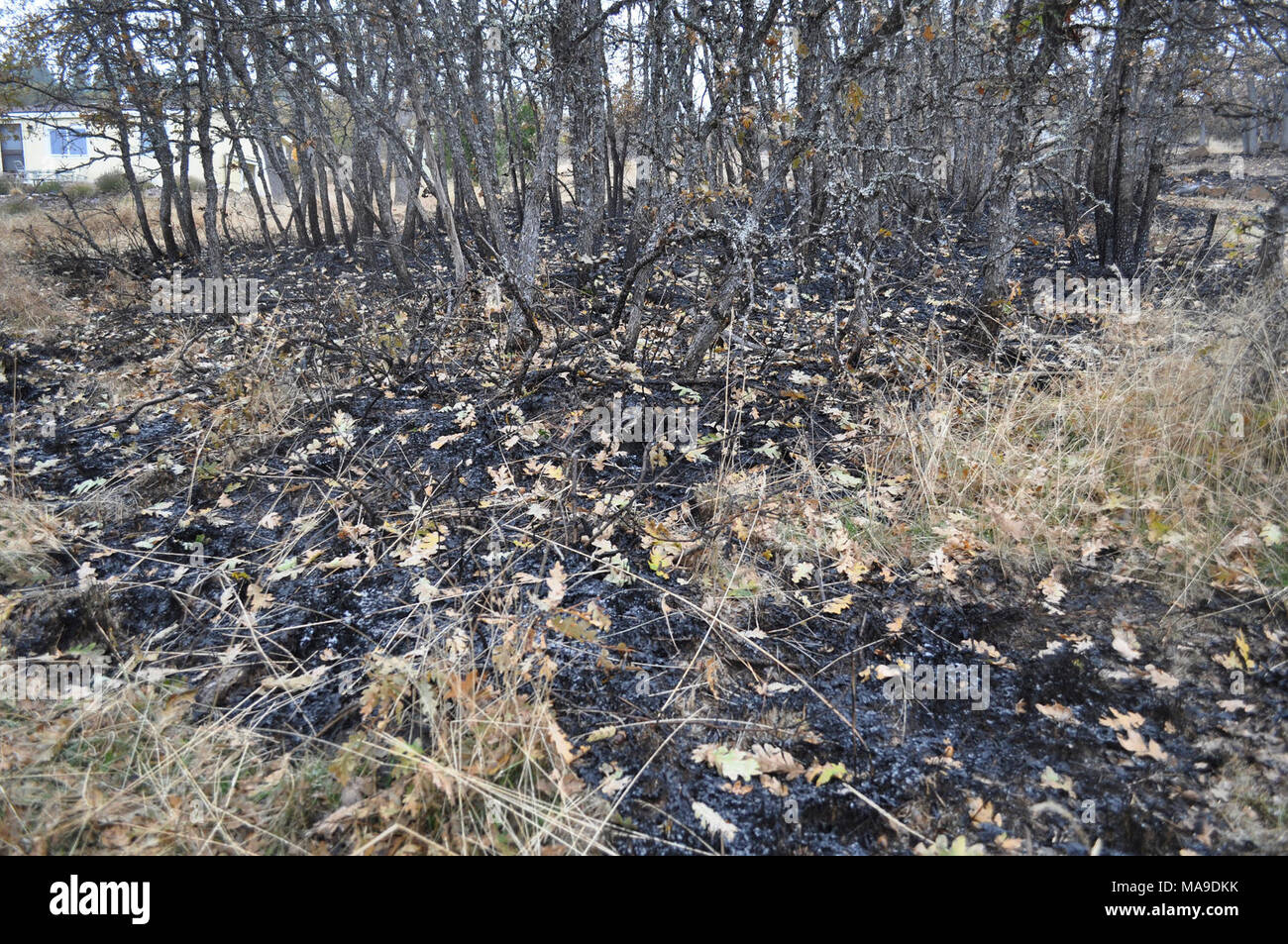 Example record archive hi-res stock photography and images - Alamy