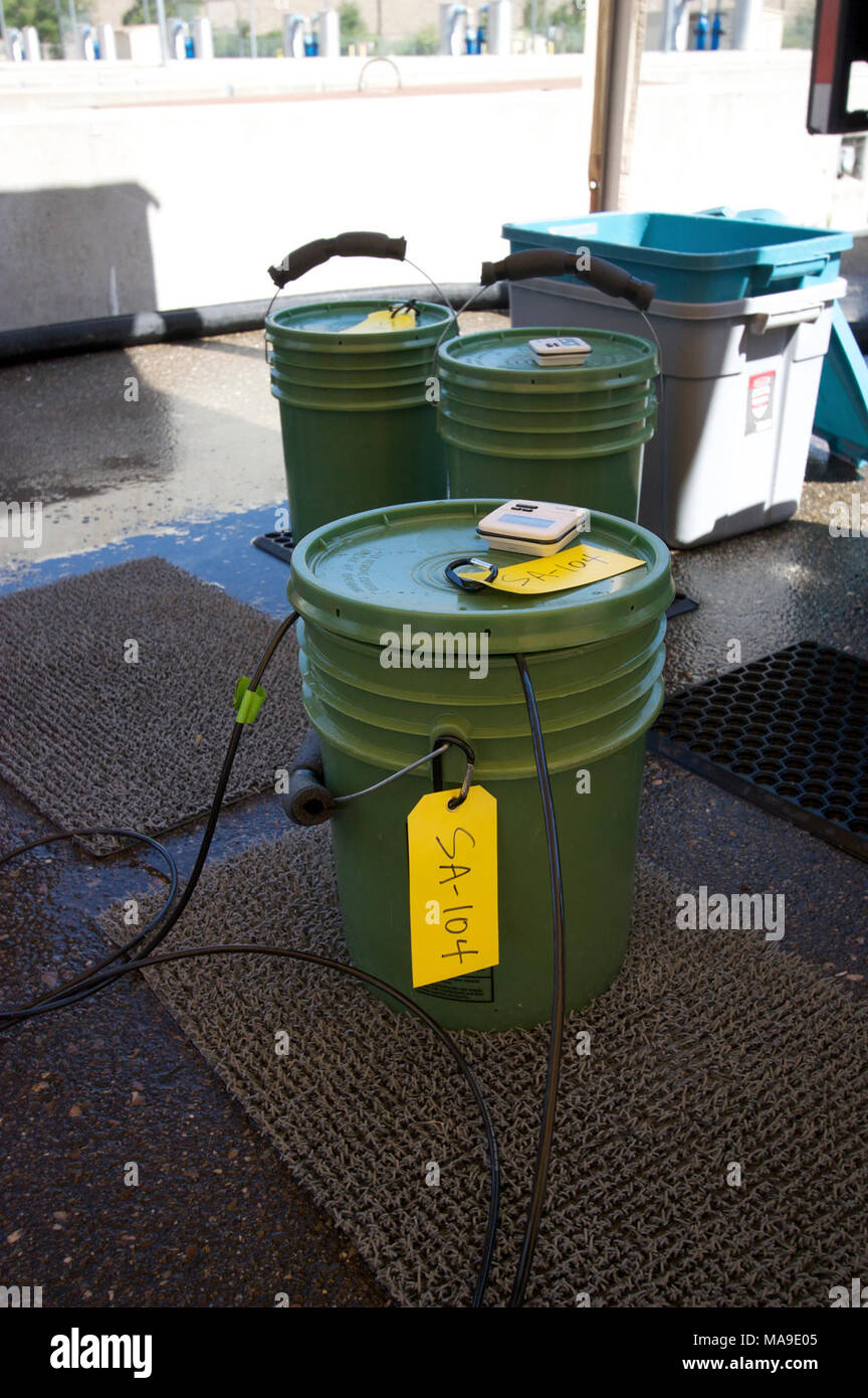 Recovery Buckets. Recovery Buckets Immediately after surgery, fish are ...