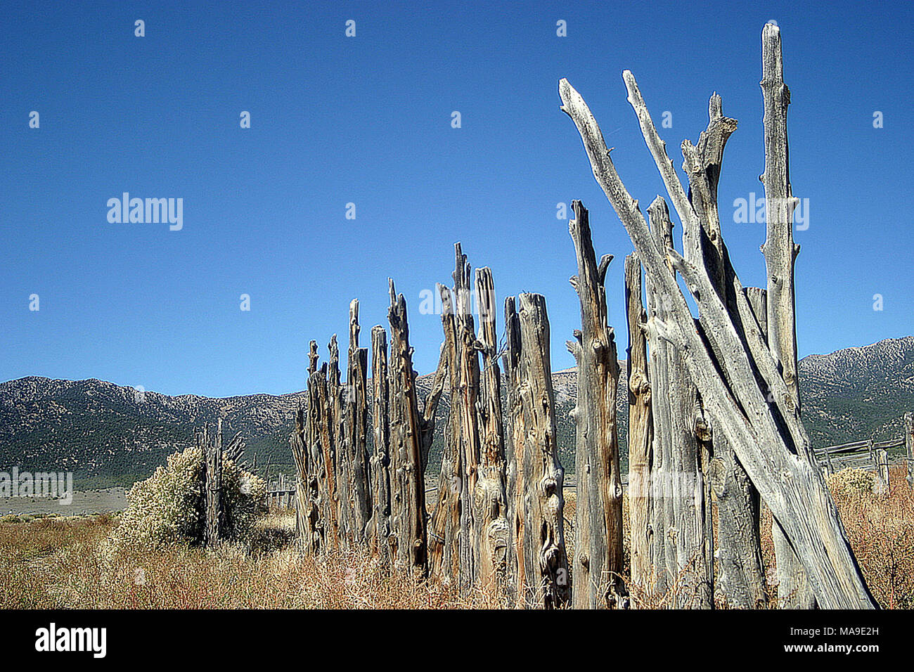 Worst learning hi-res stock photography and images - Alamy