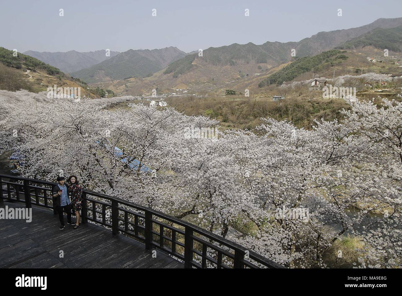 Hadong gun hi-res stock photography and images - Alamy