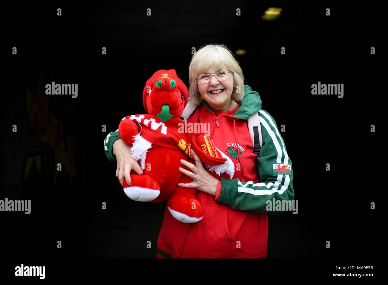 Parc y scarlets rugby hi-res stock photography and images - Alamy