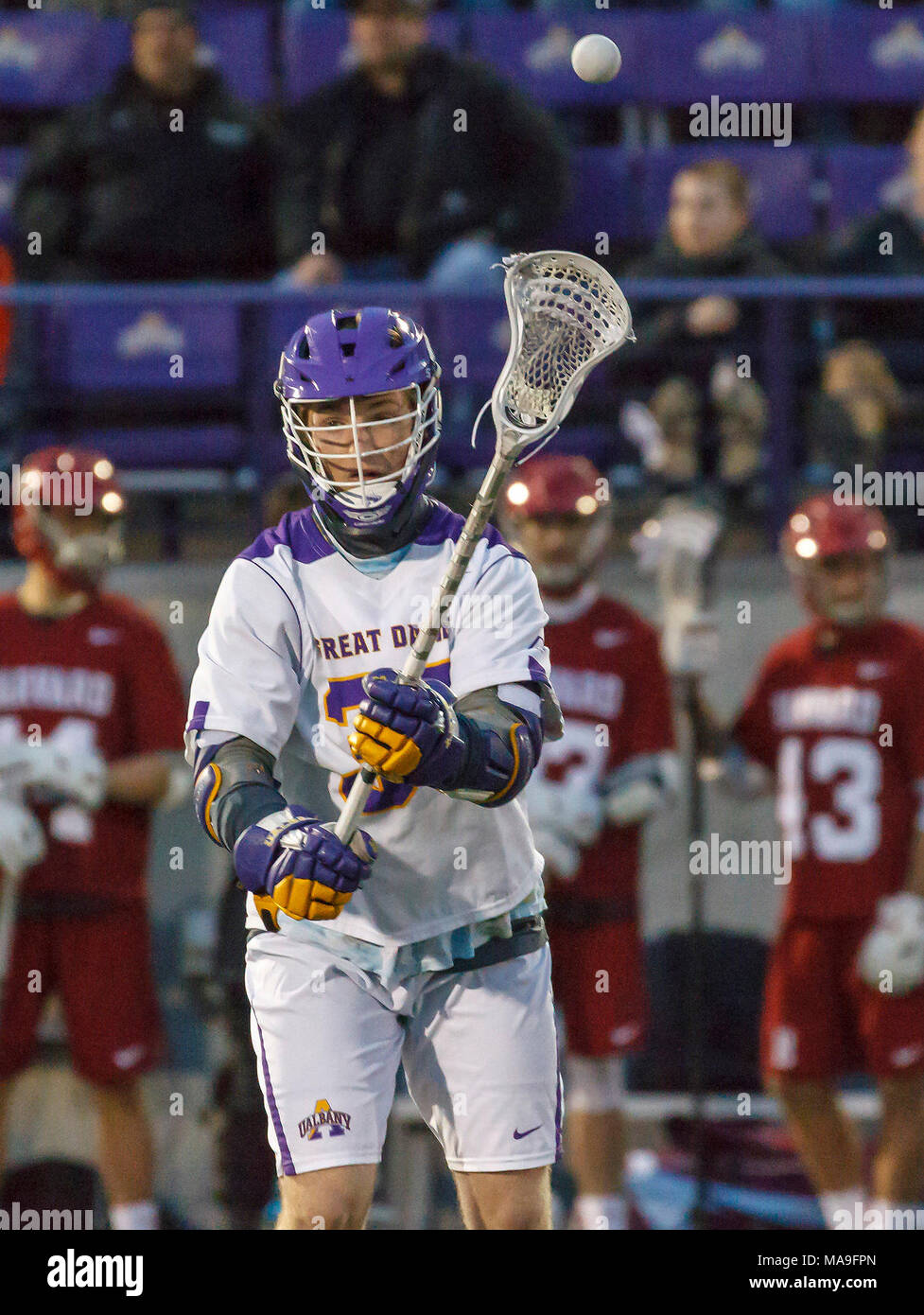 Albany, NY, USA. 28th Mar, 2018. UAlbany Men's Lacrosse defeats Harvard ...