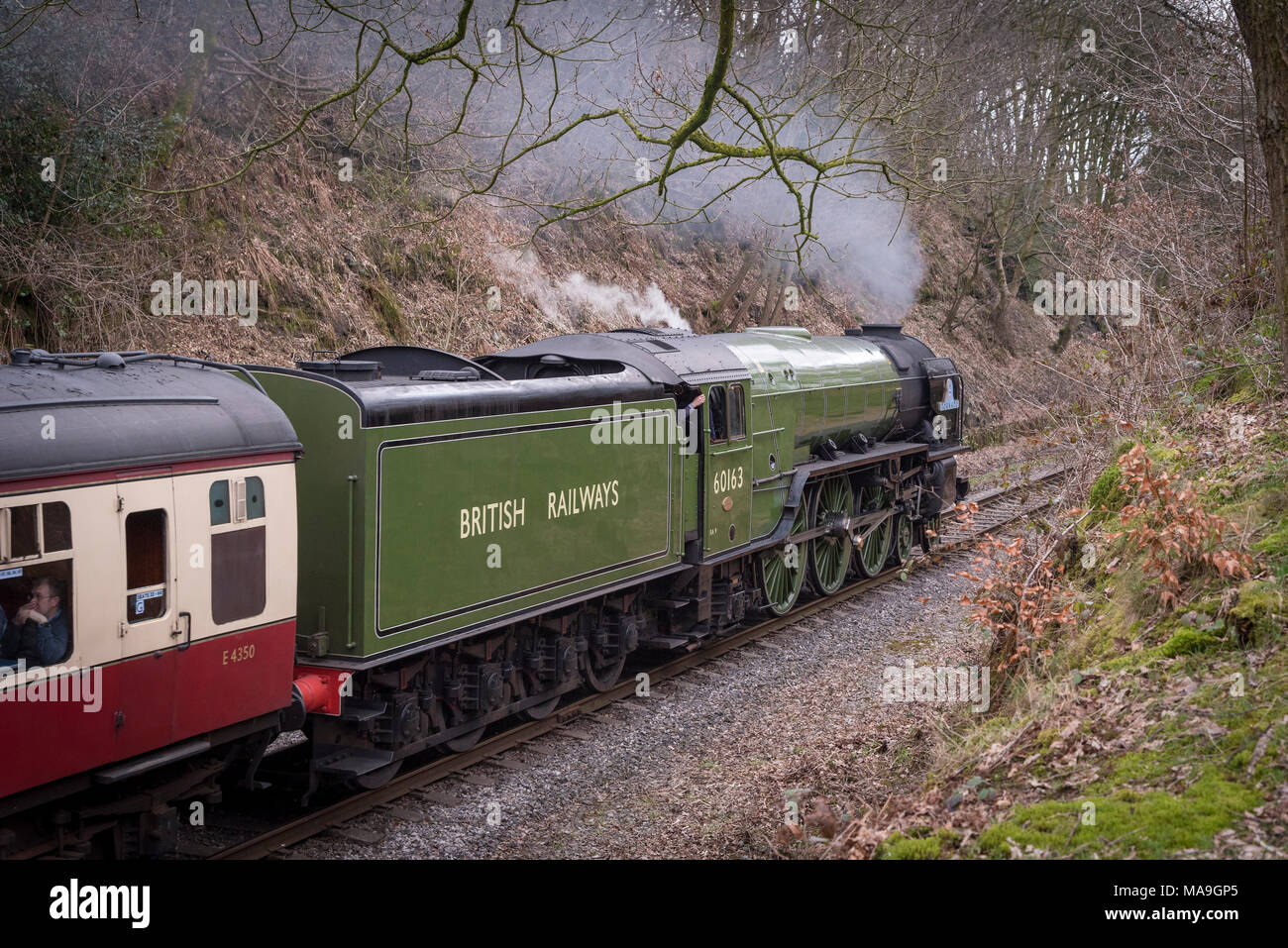 Summerseat, Bury. United Kingdom. 30th. March 2018. Taking a break from ...